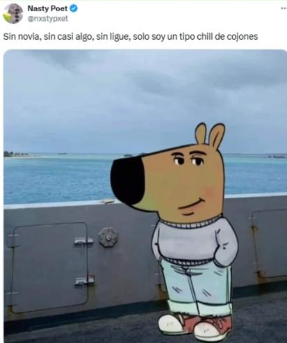 El meme viral del perro que arrasa en las redes sociales | T13